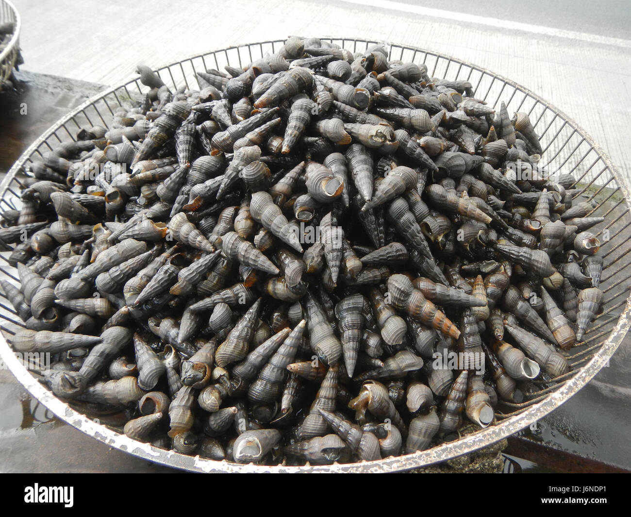 0730 Halaan Philippines Susong pilipit Agurong Tabagwang Bulacan ...