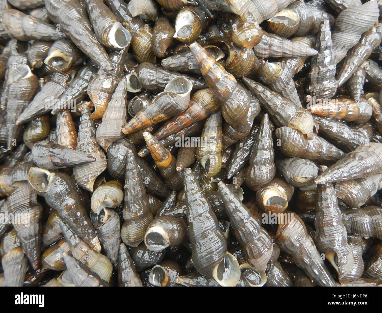 This entry refers to various locations in the Philippines, including ...
