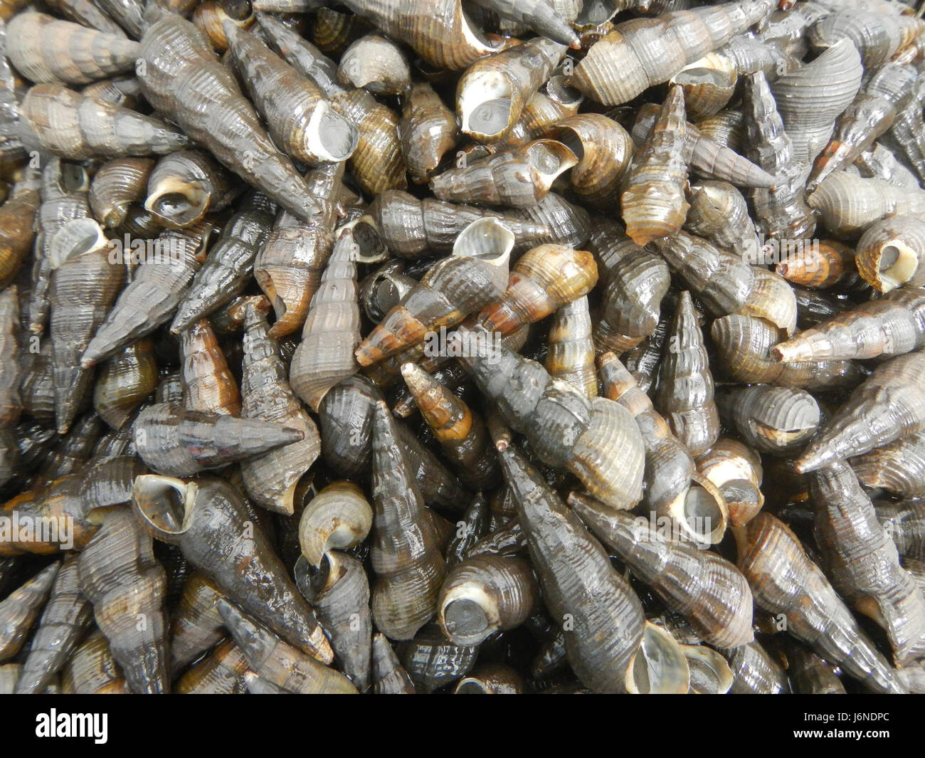 Gpsmap High Resolution Stock Photography and Images - Alamy