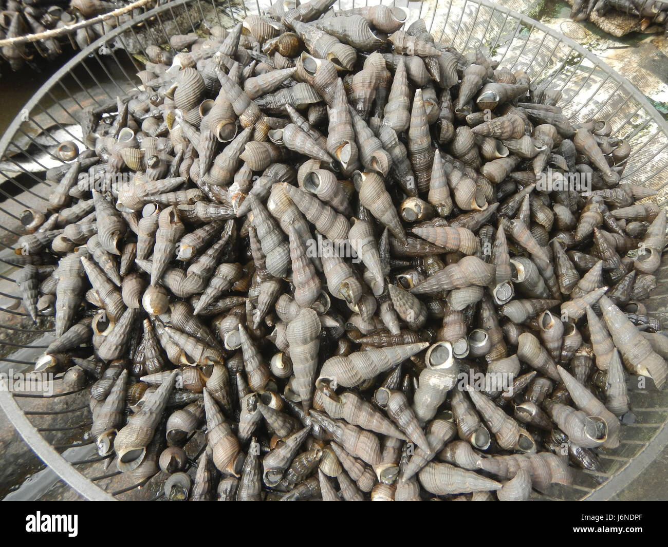 0768 Garmin GPSMAP 63CSx Halaan Philippines Susong pilipit Agurong ...