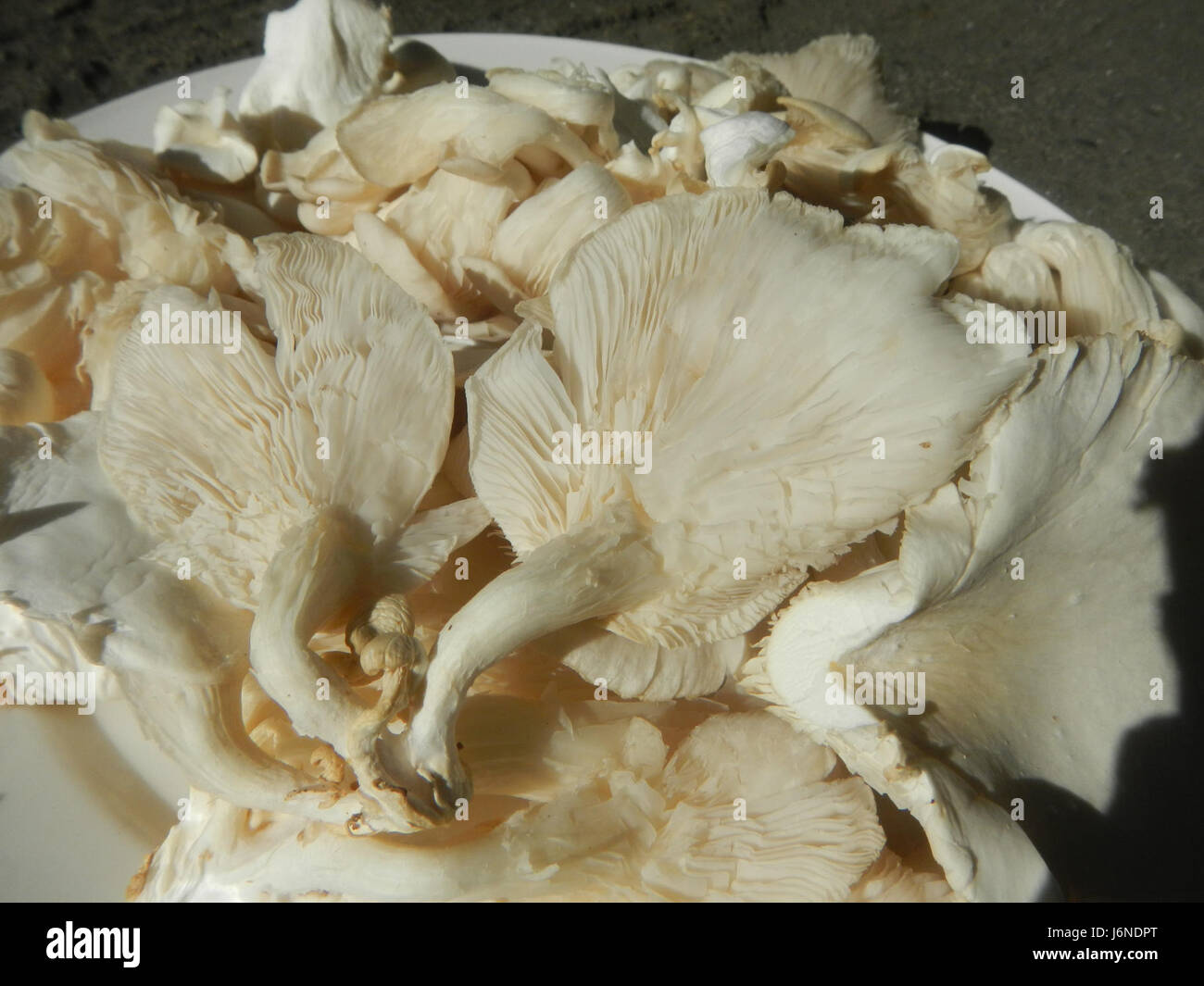 09537 Cuisine in Bulacan home made foods 21 Stock Photo - Alamy