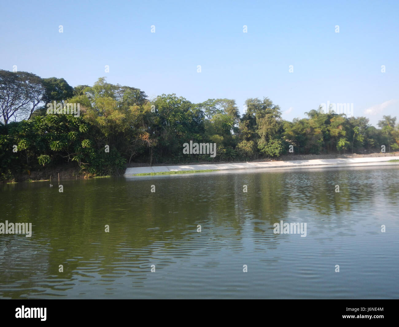 The riverbanks of Pulilan, Dampol, Lumbac, and Plaridel in Bulacan are ...
