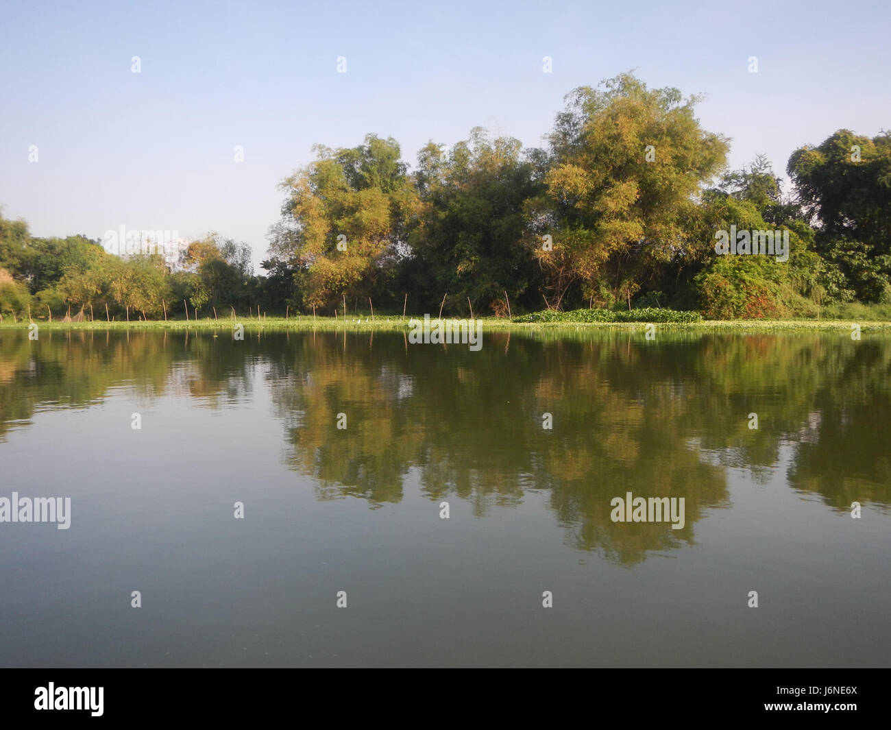 This image showcases the riverbanks of Pulilan, located in Bulacan ...