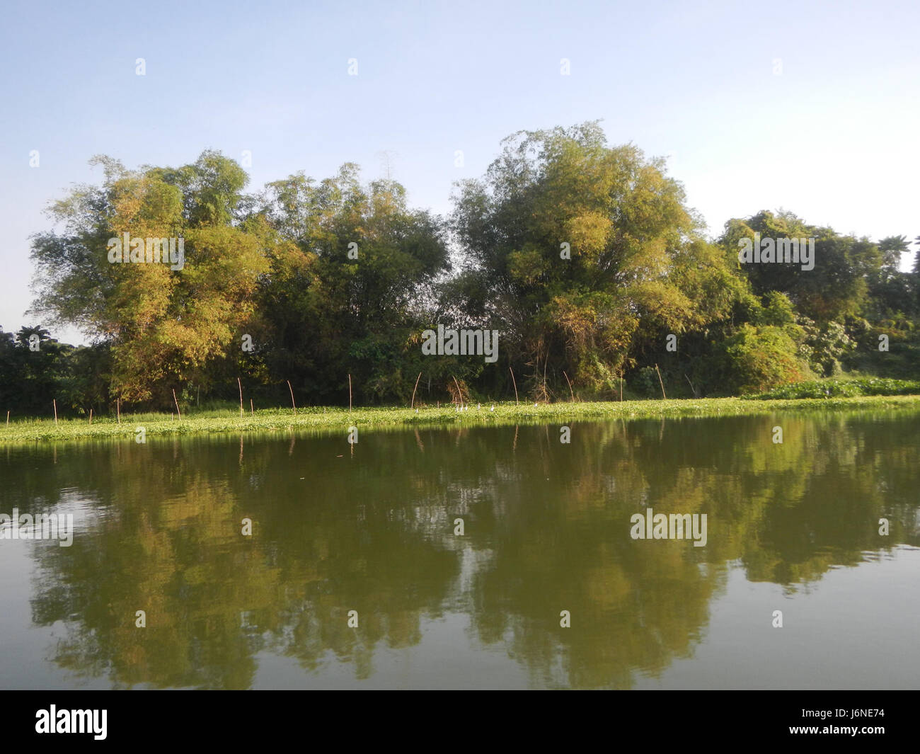 This image depicts the riverbanks of the Pulilan River, located in the ...