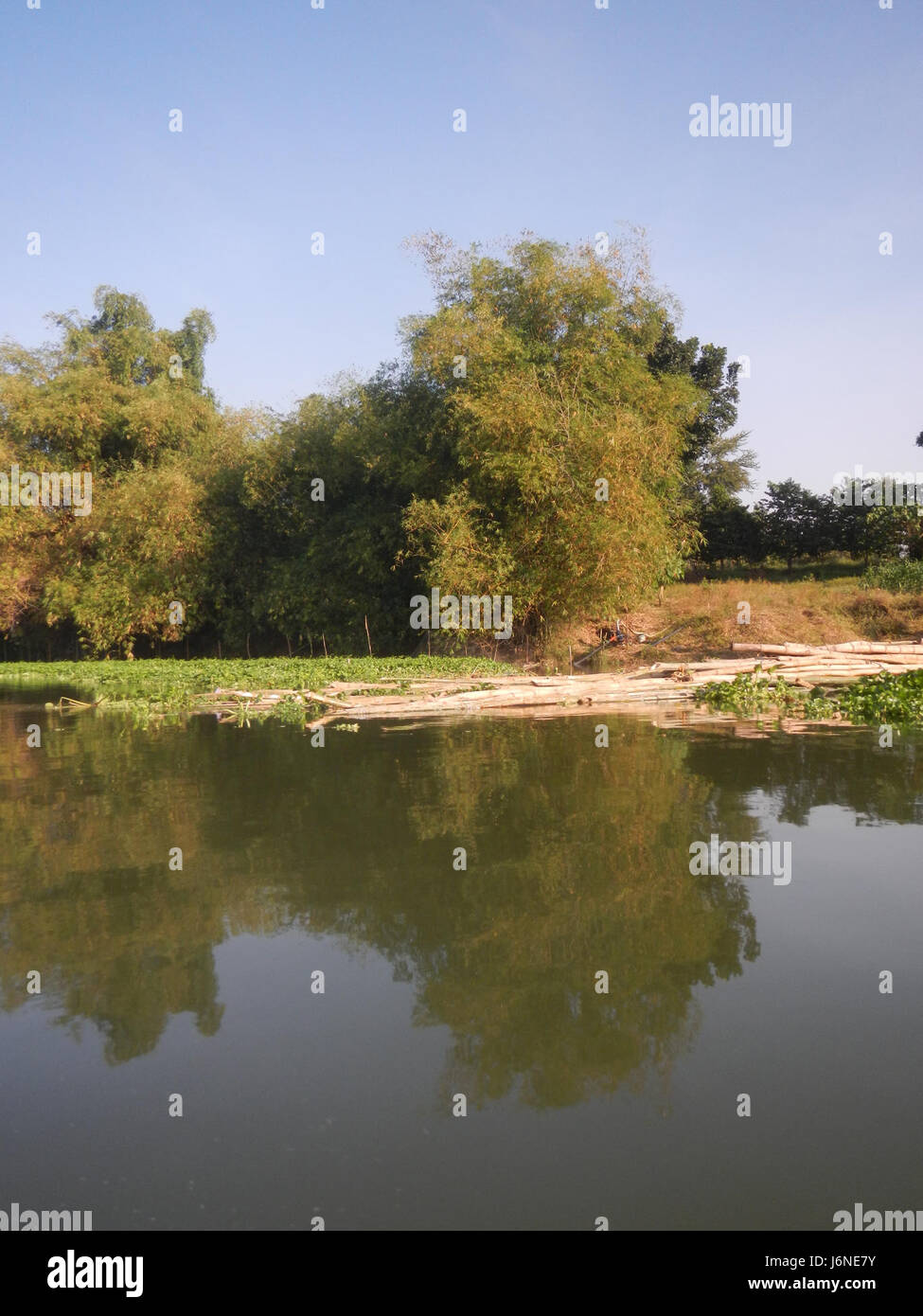 This image depicts the riverbanks of the Pulilan River, flowing through ...