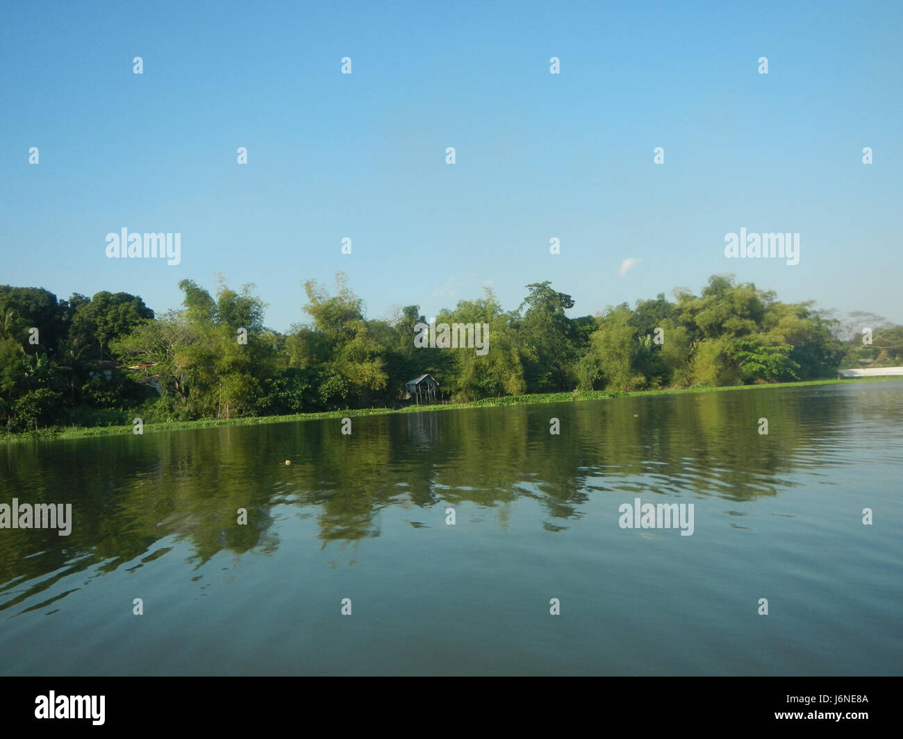 This photograph shows the riverbanks of Pulilan in the Bulacan region ...