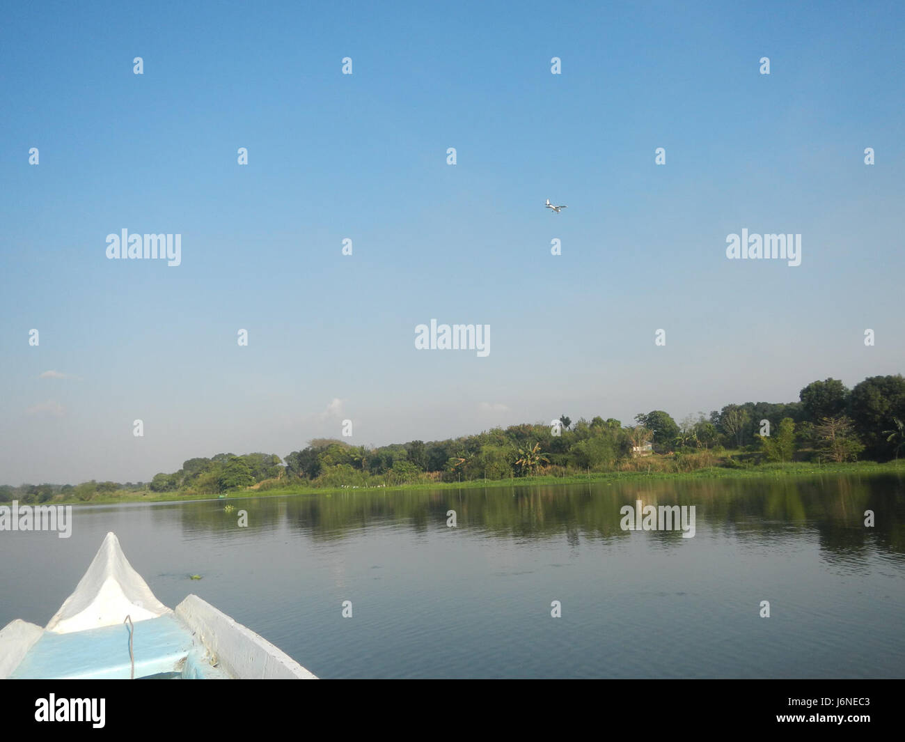 The Pulilan riverbanks in Plaridel, Bulacan, highlight a diverse ...