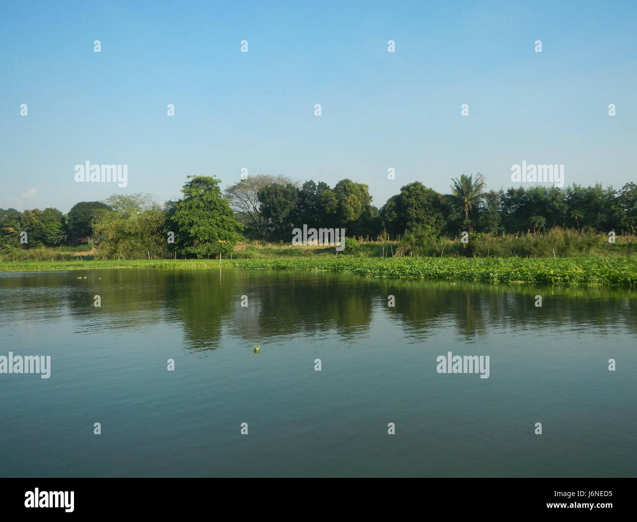 This image depicts the riverbanks of Pulilan, showing the agricultural ...