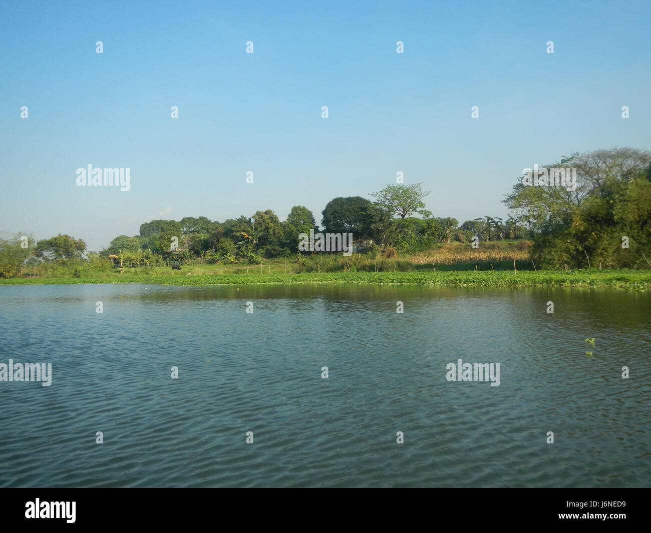 The area along the Pulilan Riverbanks in Plaridel, Bulacan, includes ...