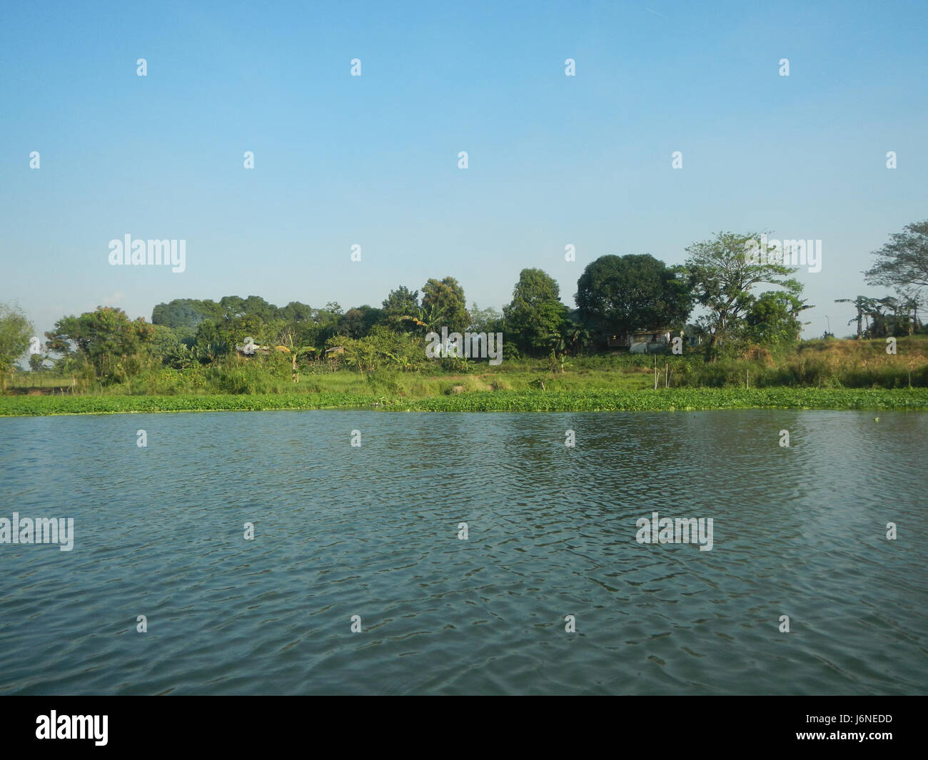 This image captures the riverbanks of Pulilan, located in the Bulacan ...