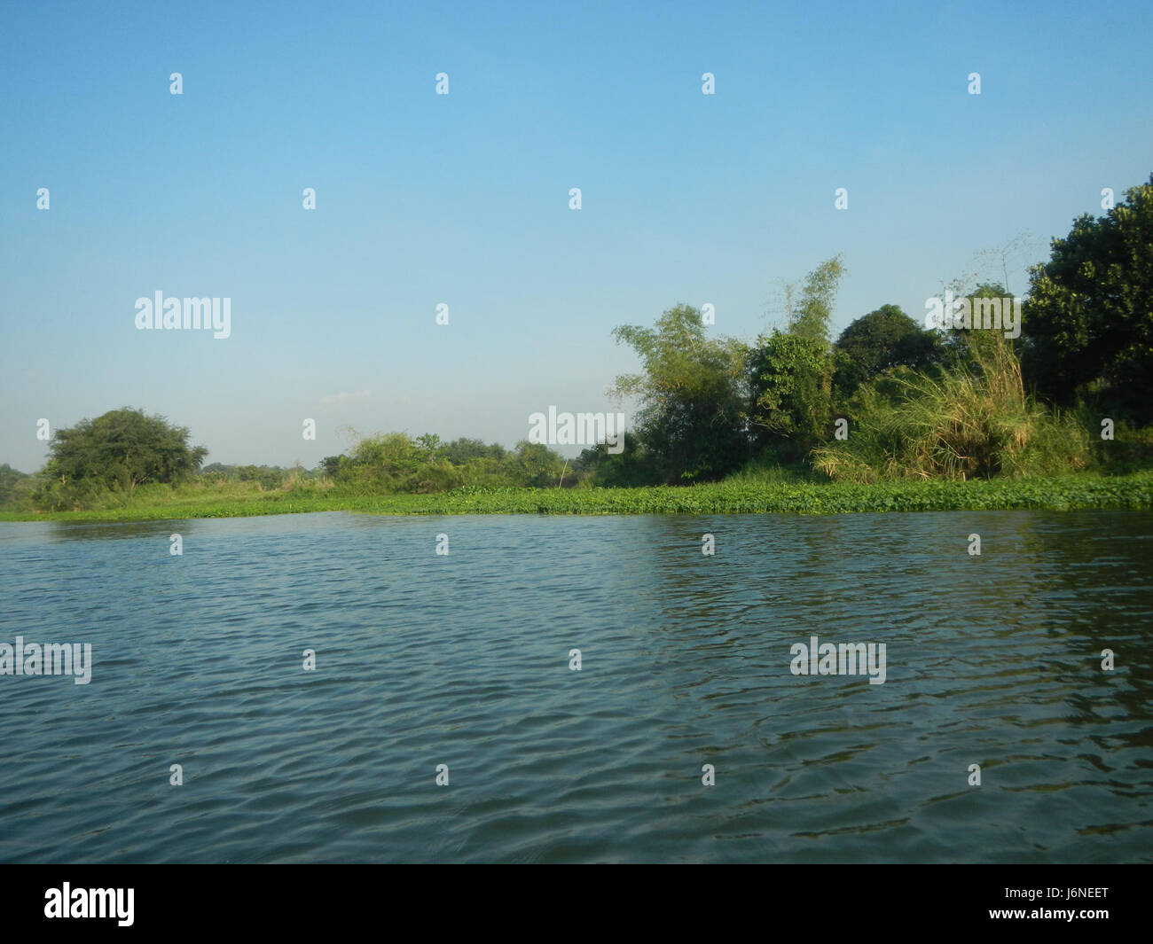 This photograph shows the riverbanks along the Pulilan River, located ...
