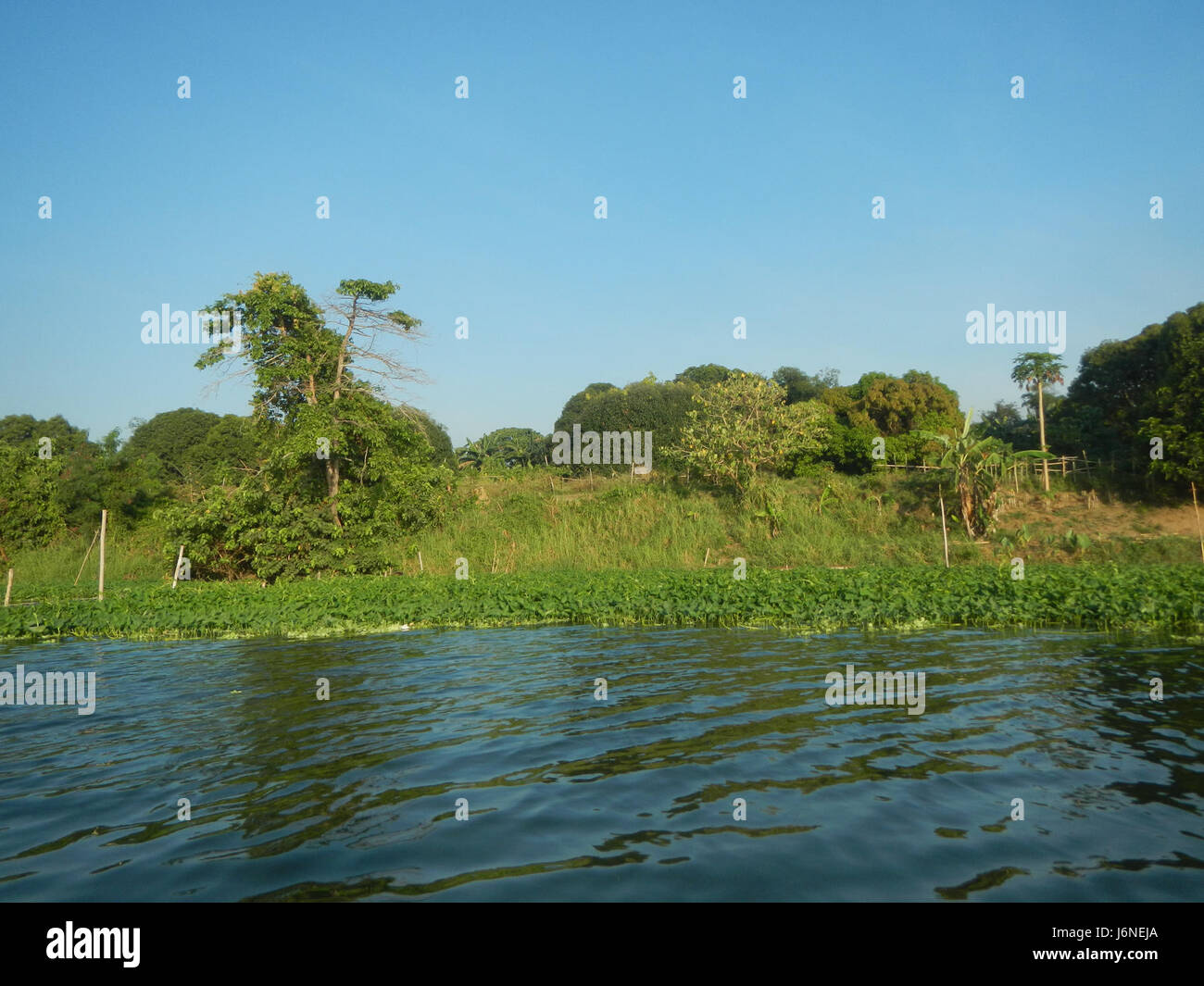 This image captures the riverbanks of Pulilan, located in the Plaridel ...