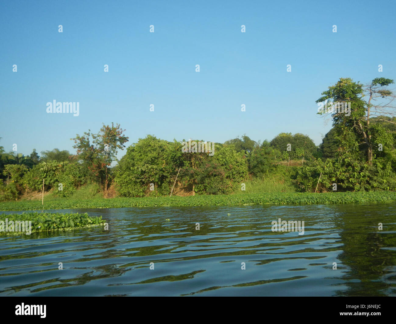 This image captures the riverbanks along Pulilan River in Bulacan ...