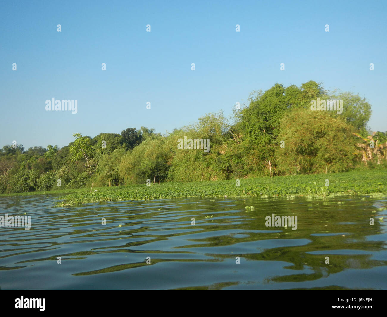 This image portrays the riverbanks of Pulilan, showing the Dampol and ...
