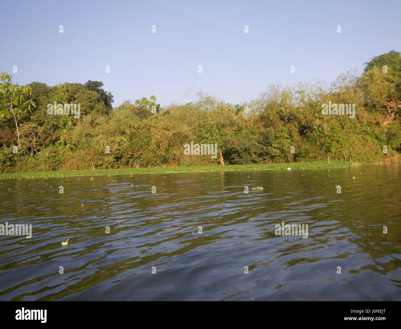 The riverbanks along the Pulilan River in Bulacan, especially in areas ...