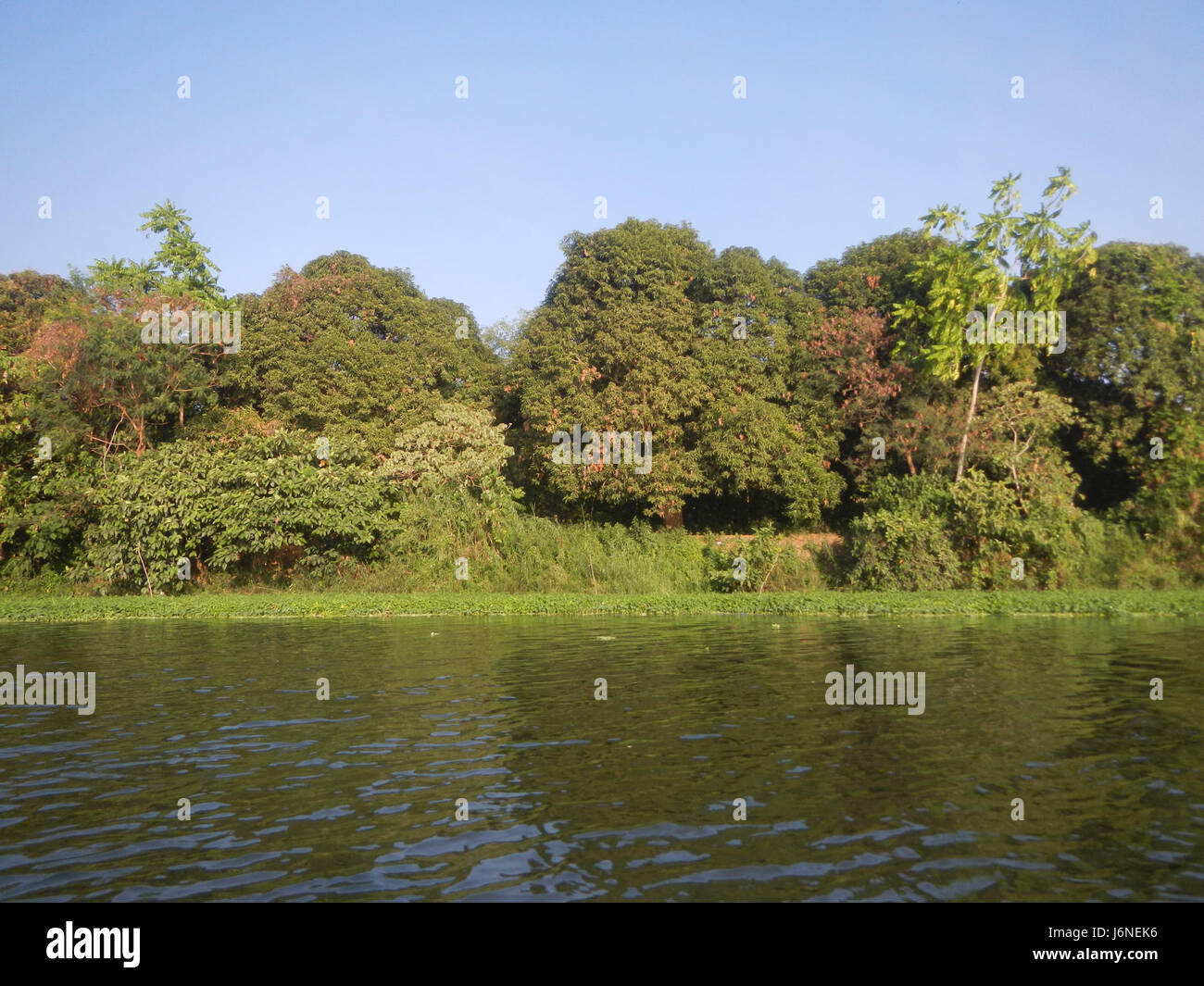 A photograph capturing the rural landscape along the Pulilan River in ...