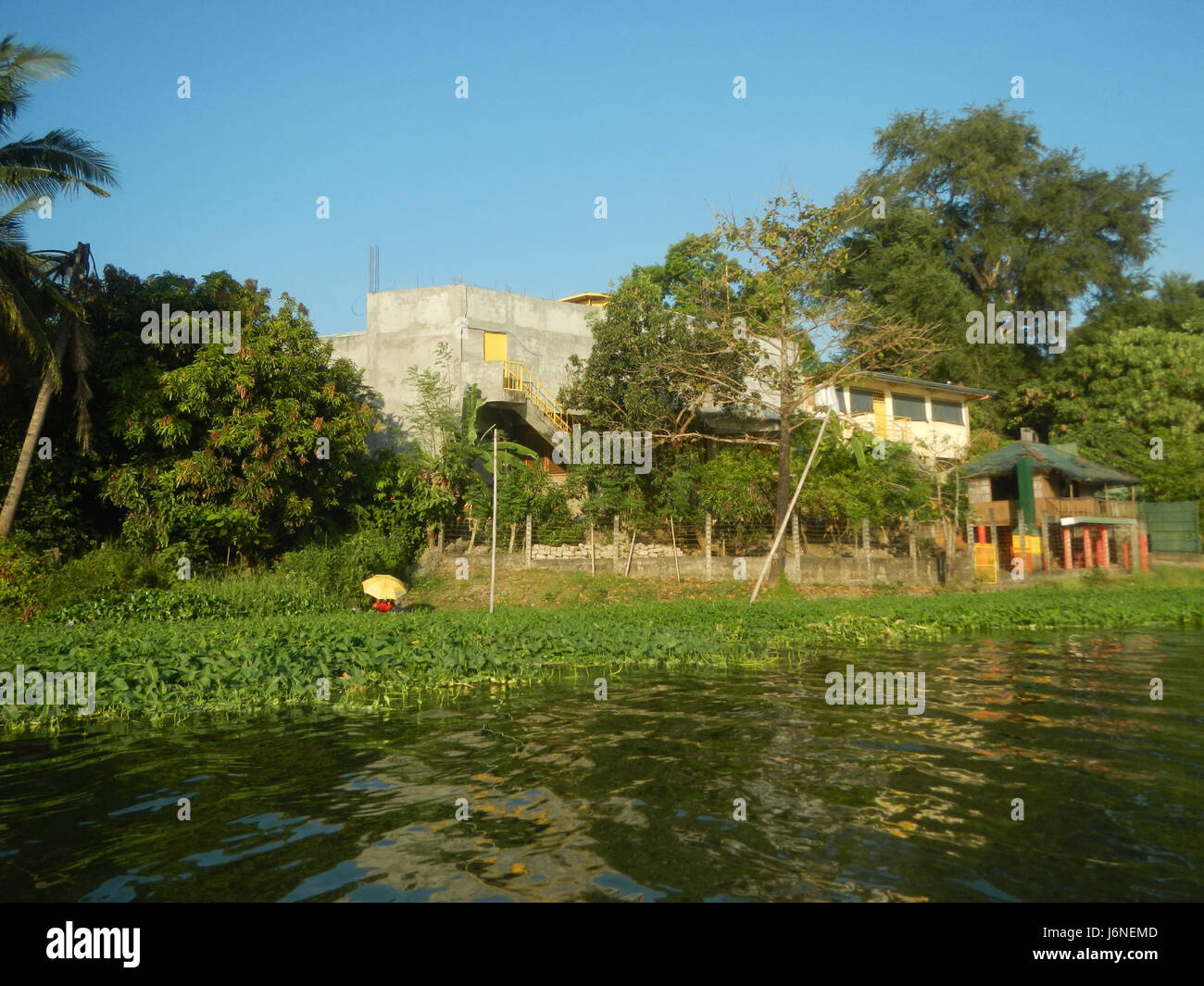 This image showcases the riverbanks of the Pulilan River, flowing ...