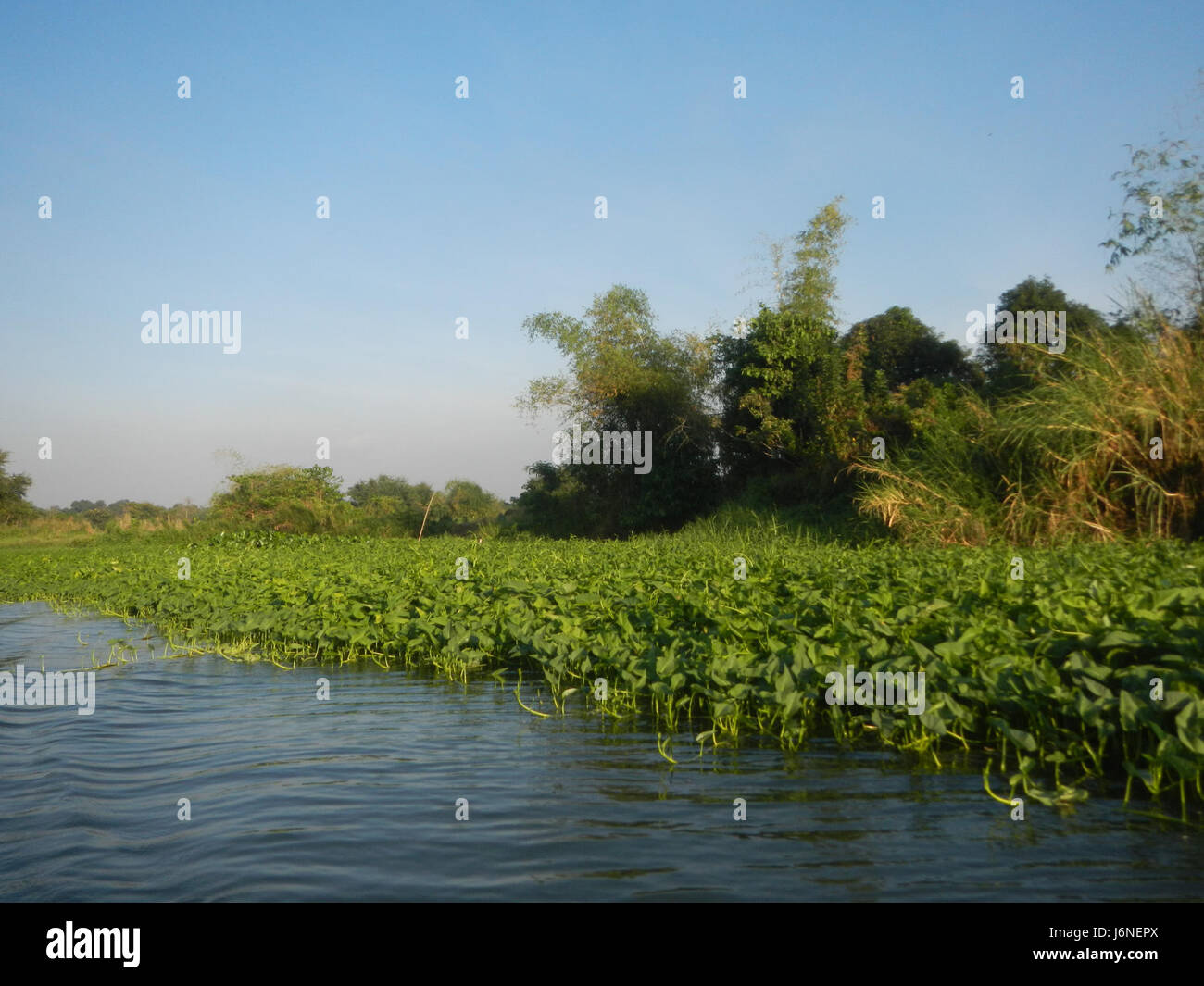 This location along the Pulilan Riverbanks in Bulacan, Philippines ...