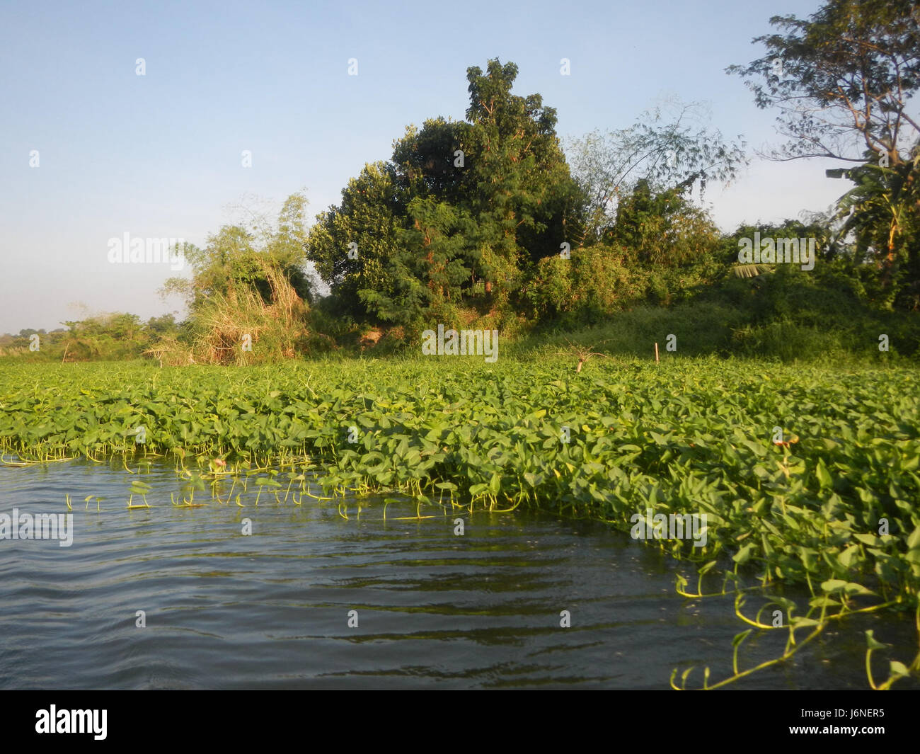 This image features the riverbanks of Pulilan, located in the provinces ...