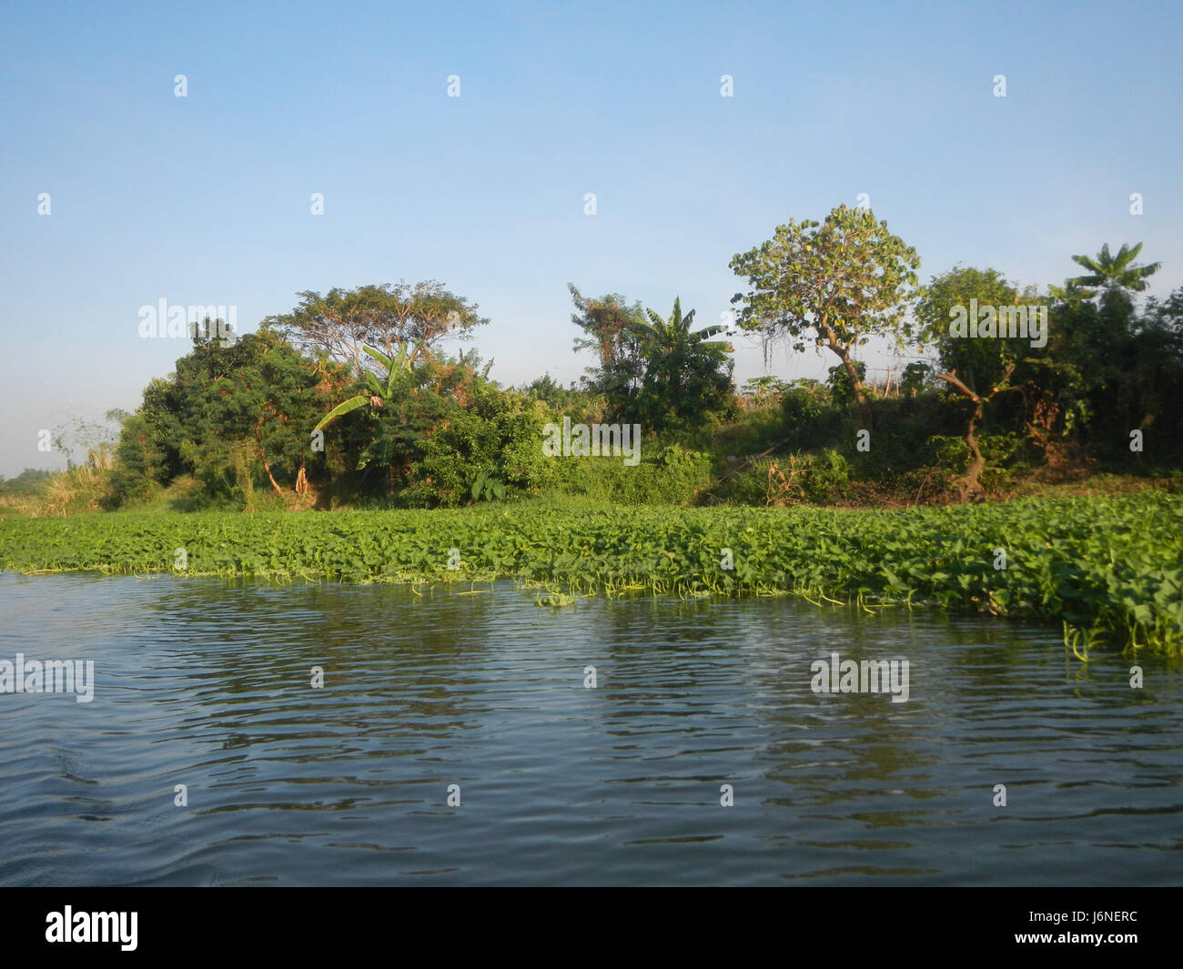 This photograph depicts the riverbanks of the Pulilan River in Plaridel ...