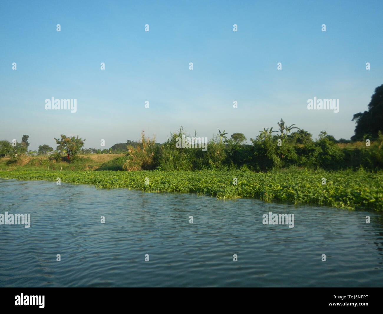 This image depicts the riverbanks along Pulilan in Bulacan, Philippines ...
