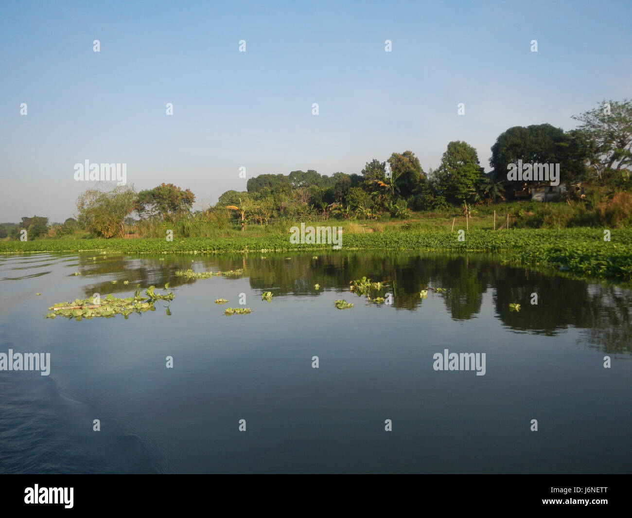 Photograph of the riverbanks along the Pulilan River in Bulacan ...