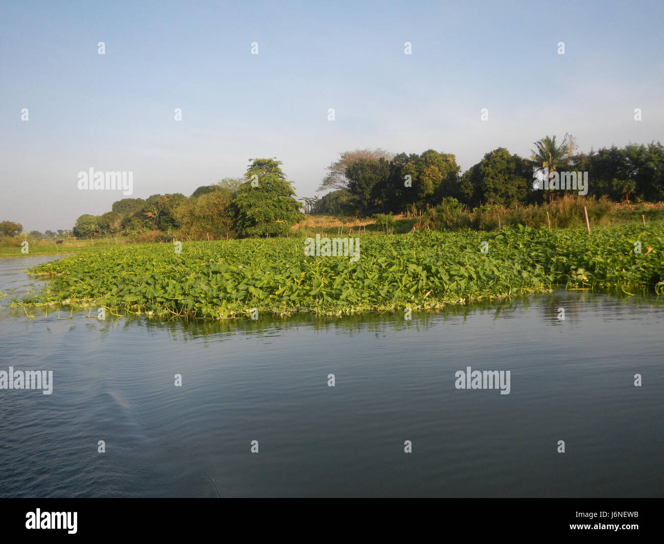 A geographic reference to the riverbanks of the Pulilan River near ...
