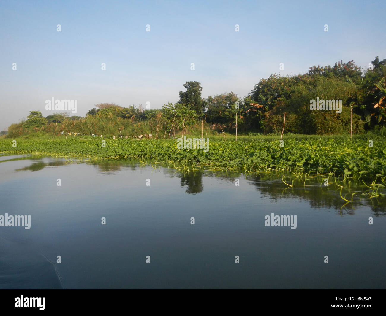 The Pulilan Riverbanks in Dampol 41, Lumbac, Poblacion, and Lumang ...