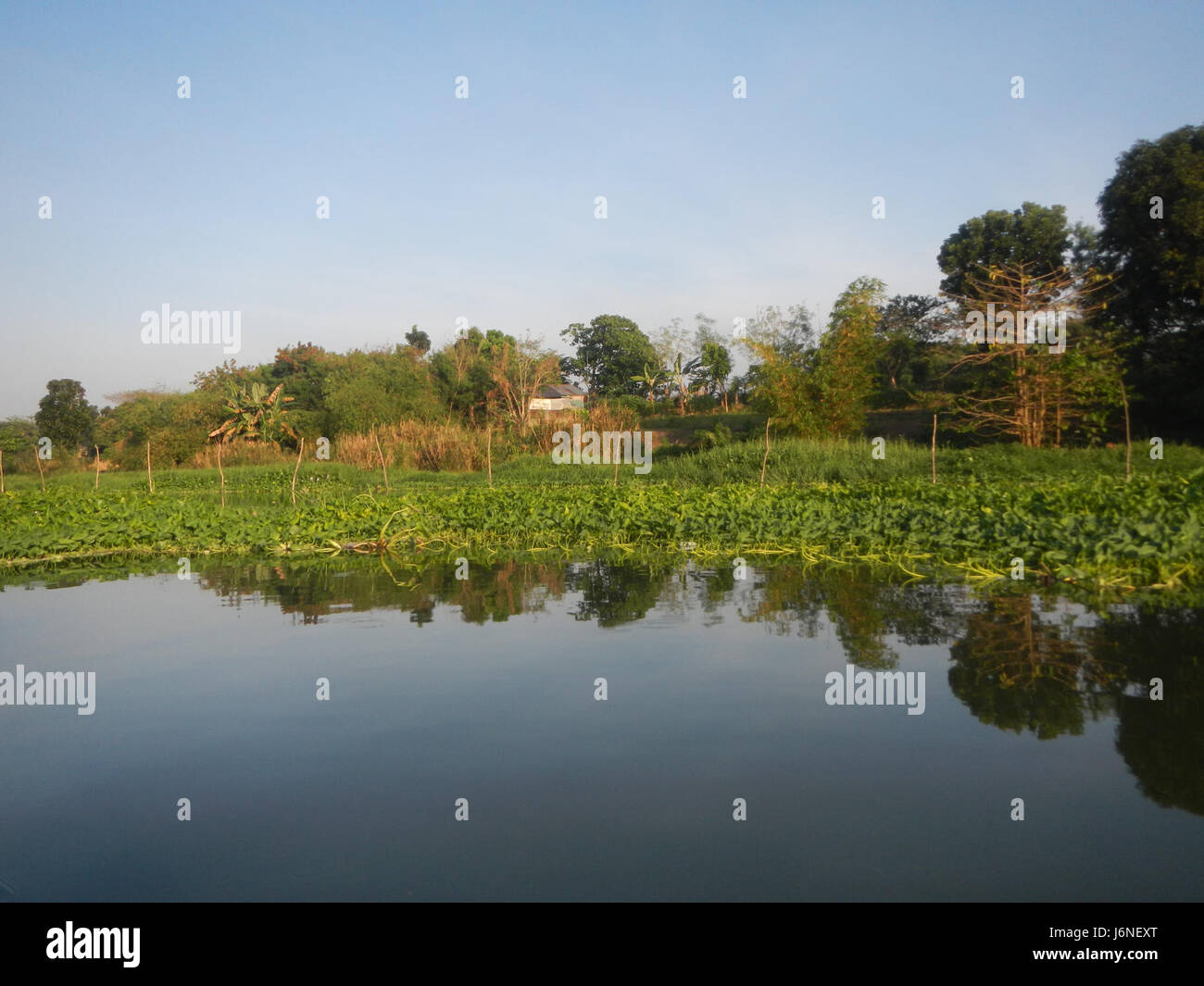 This image depicts the riverbanks of Pulilan in Plaridel, Bulacan ...