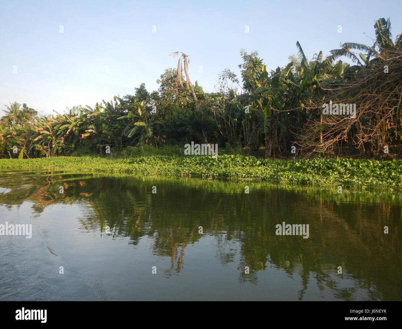 The image likely depicts the riverbanks along the Pulilan River in ...