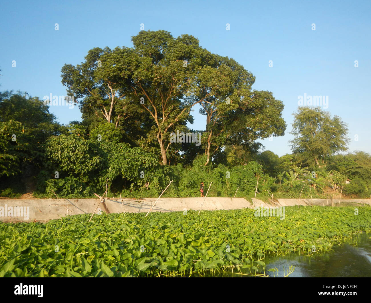 This image captures the riverbanks along the Pulilan River in Bulacan ...