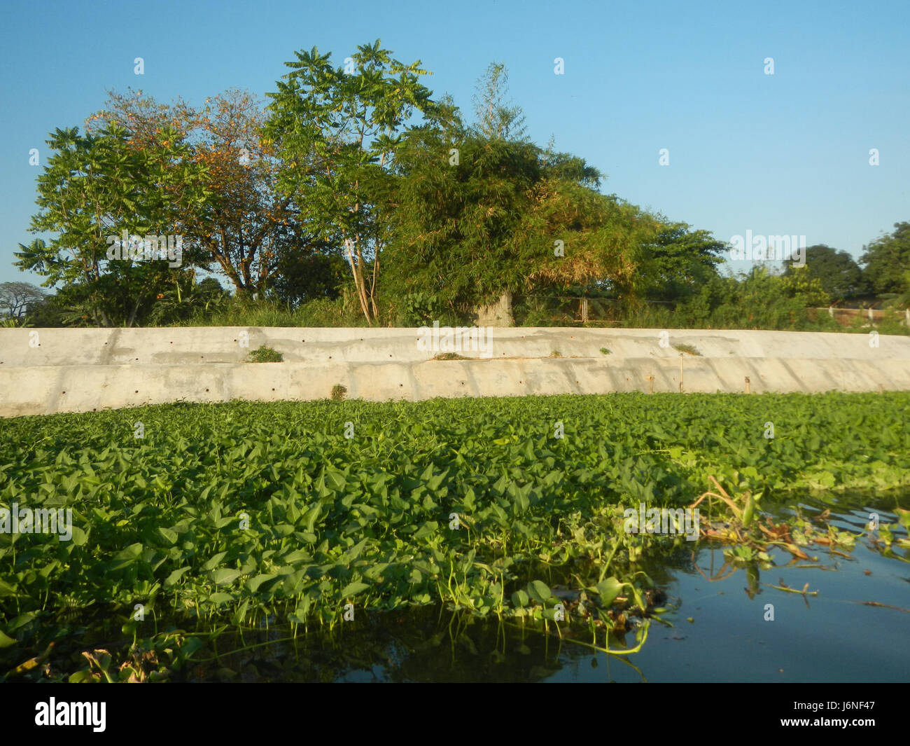 This title references the riverbanks of the Pulilan River in Plaridel ...