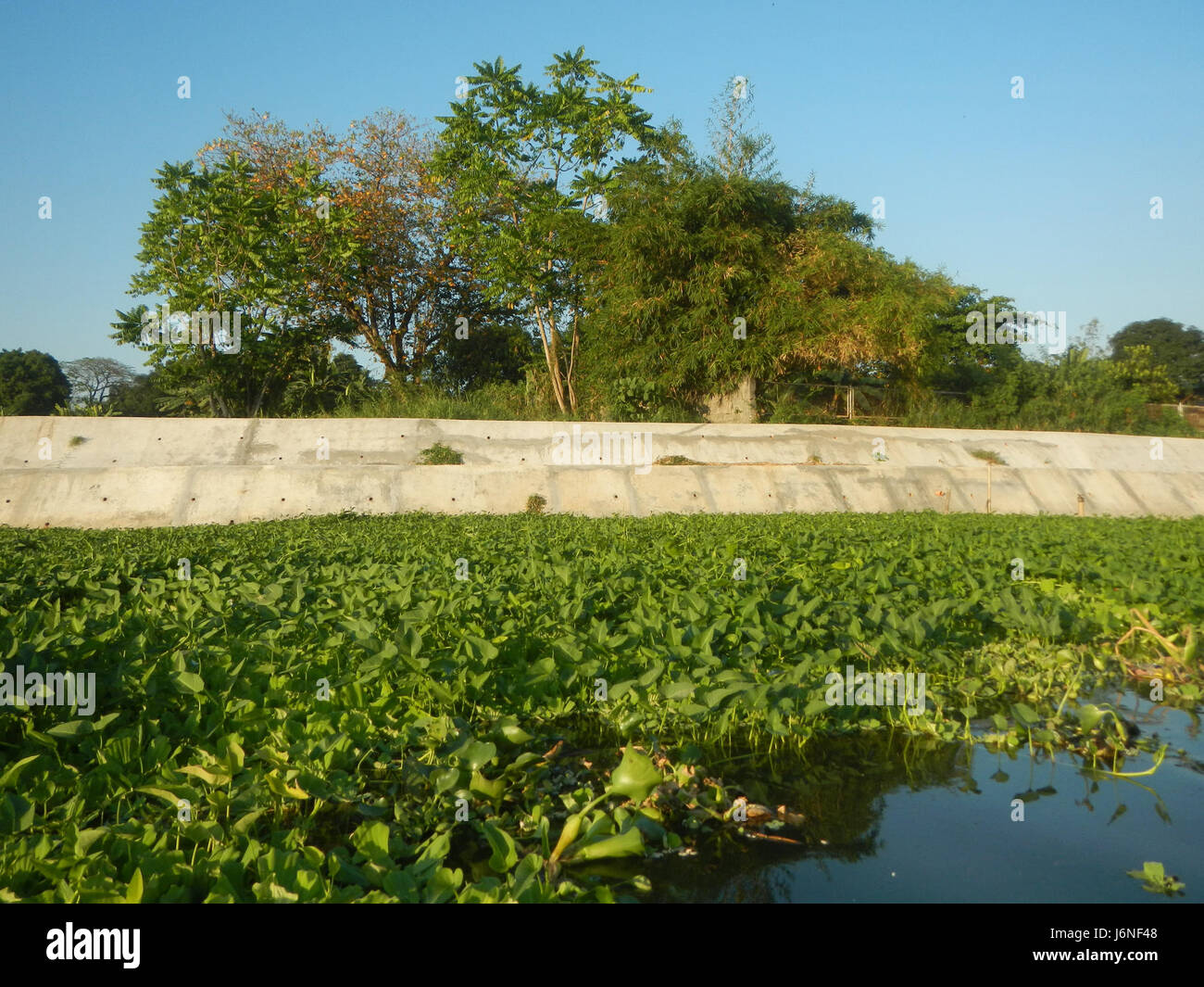 This image depicts the riverbanks of Pulilan, showing the Dampol ...