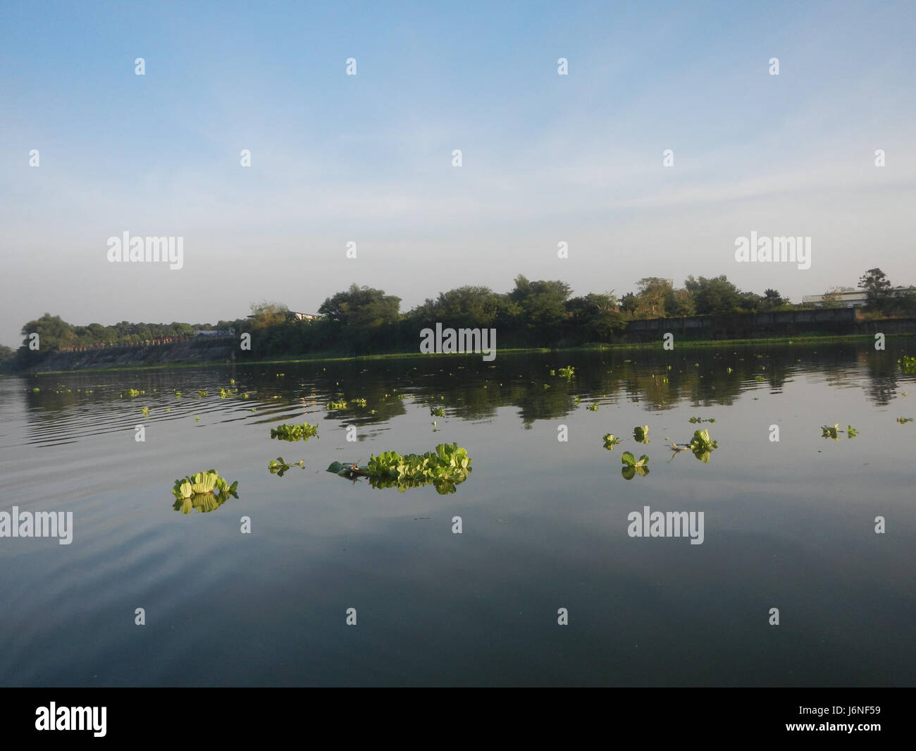 The riverbanks of Pulilan in Bulacan, Philippines, are an important ...