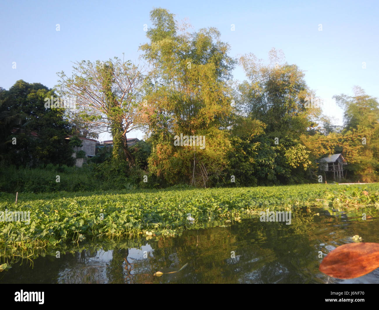 The Pulilan Riverbanks in Plaridel, Bulacan, encompass Dampol 25 ...