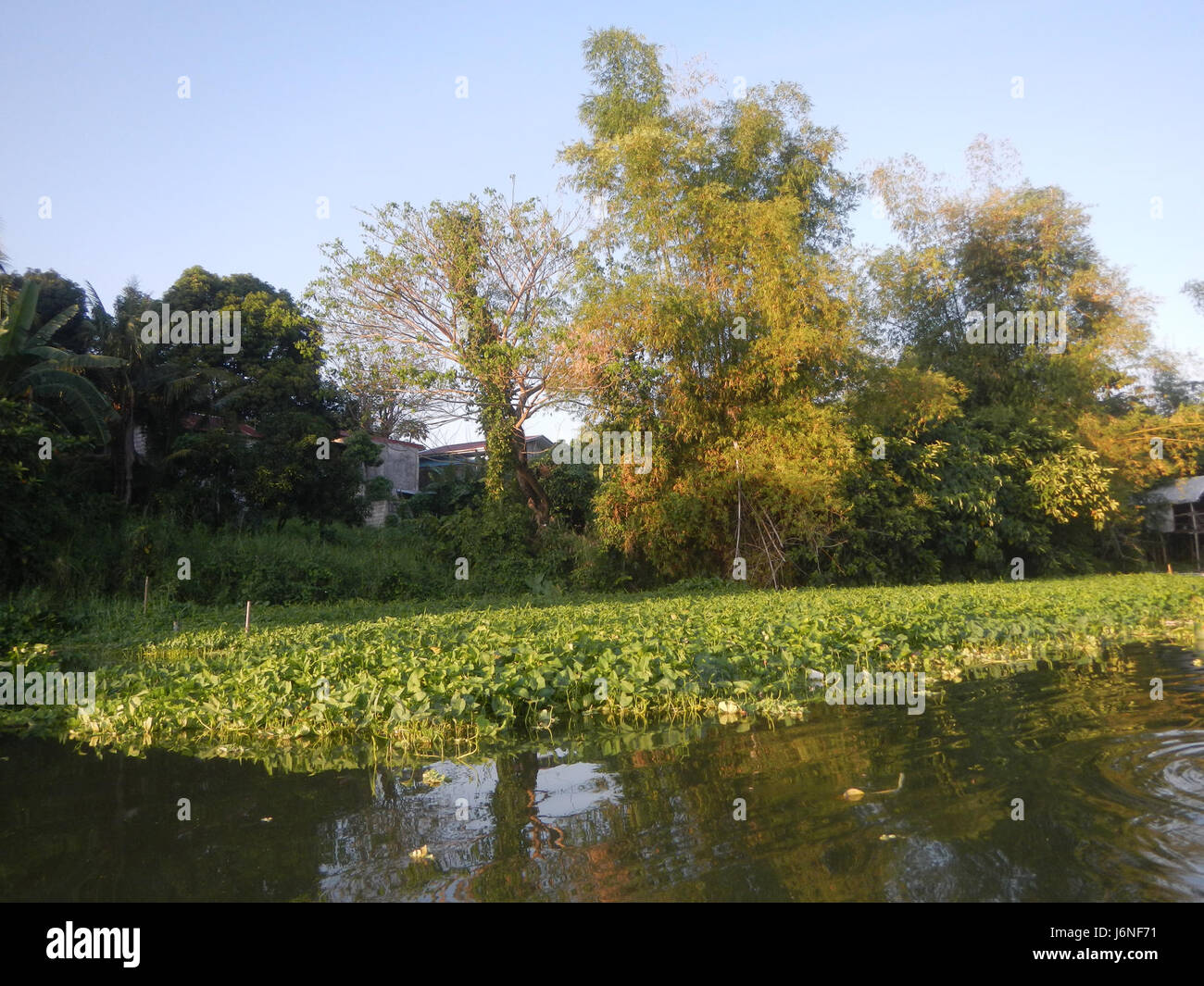 The image shows the riverbanks of Pulilan in Bulacan, Philippines, with ...