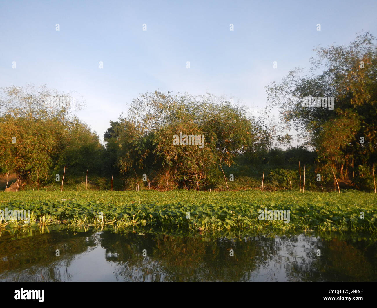 This image shows the riverbanks of Pulilan in the Bulacan province ...