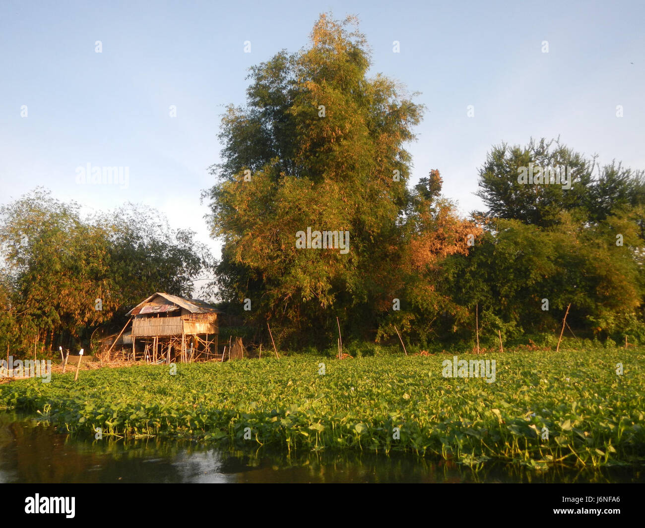 This image depicts the Pulilan Riverbanks in Plaridel, Bulacan ...