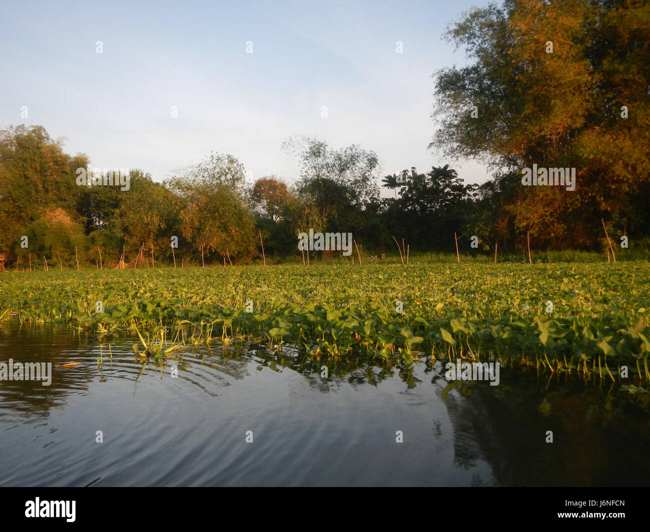 This location refers to the riverbanks of the Kangkong River in Pulilan ...