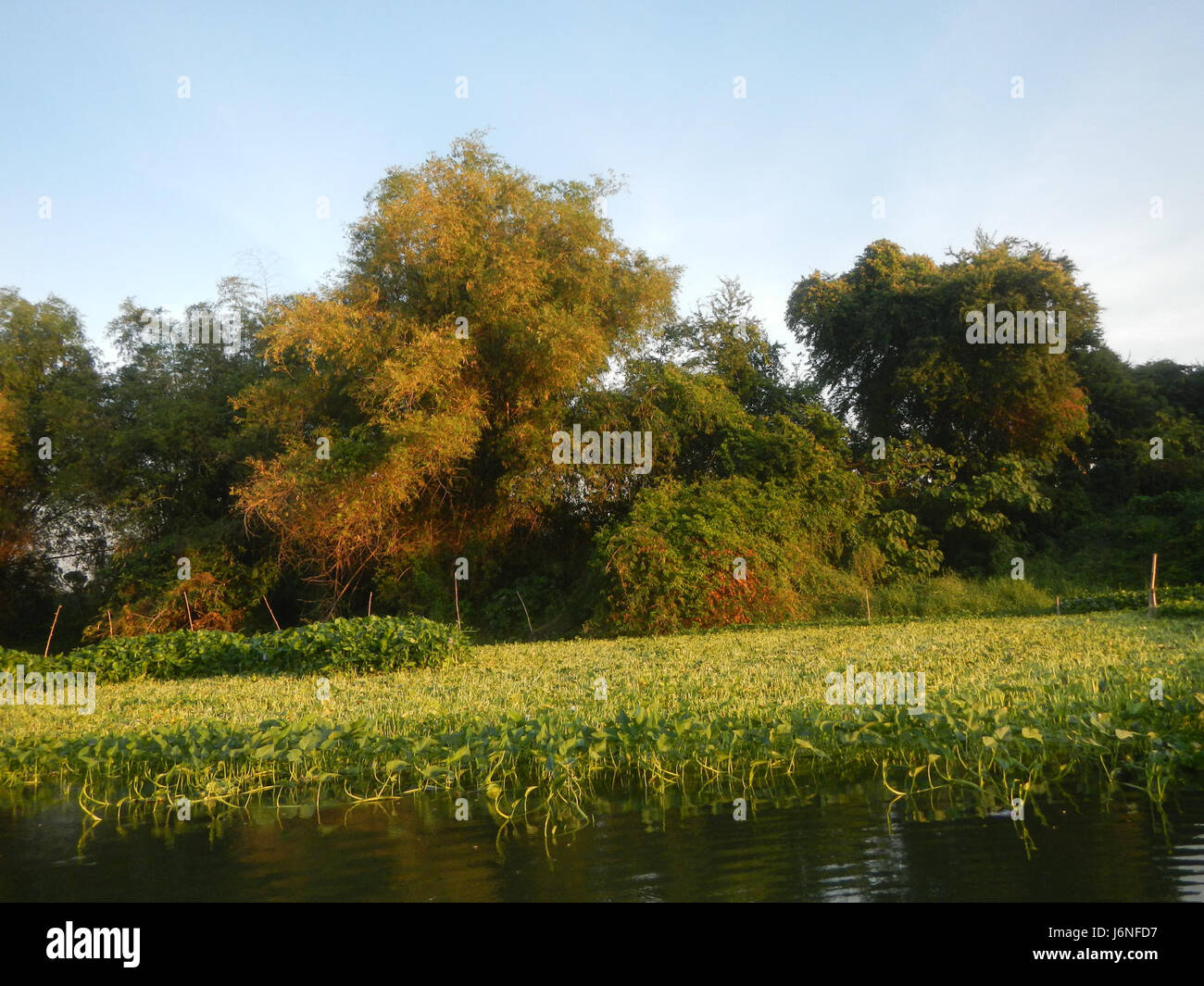 The image depicts the riverbanks along the Kangkong River in Pulilan ...