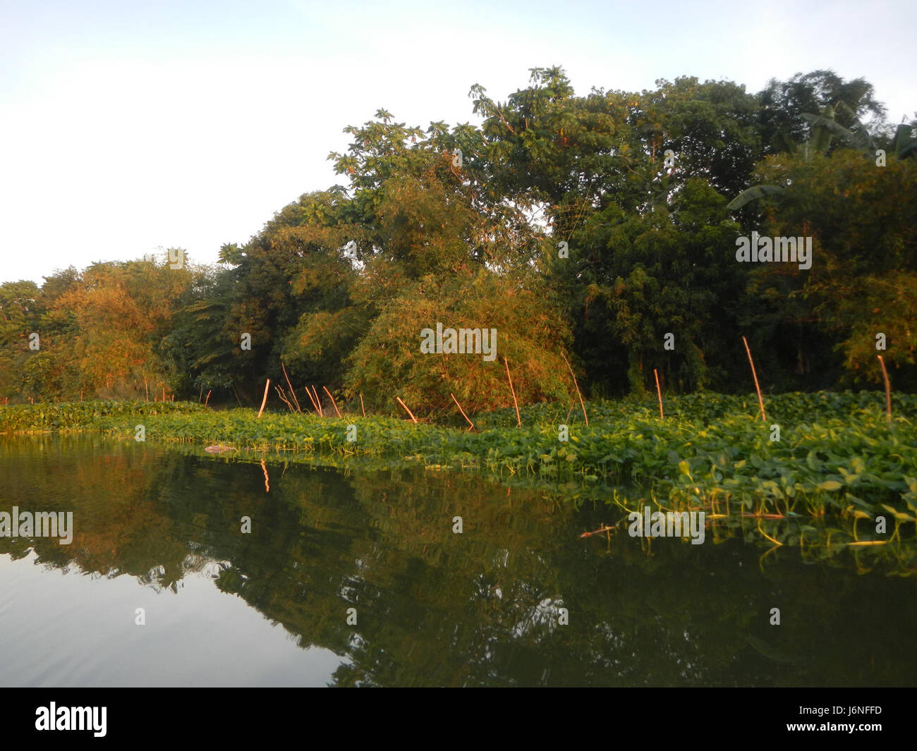 The image shows the riverbanks along the Kangkong River in Pulilan ...