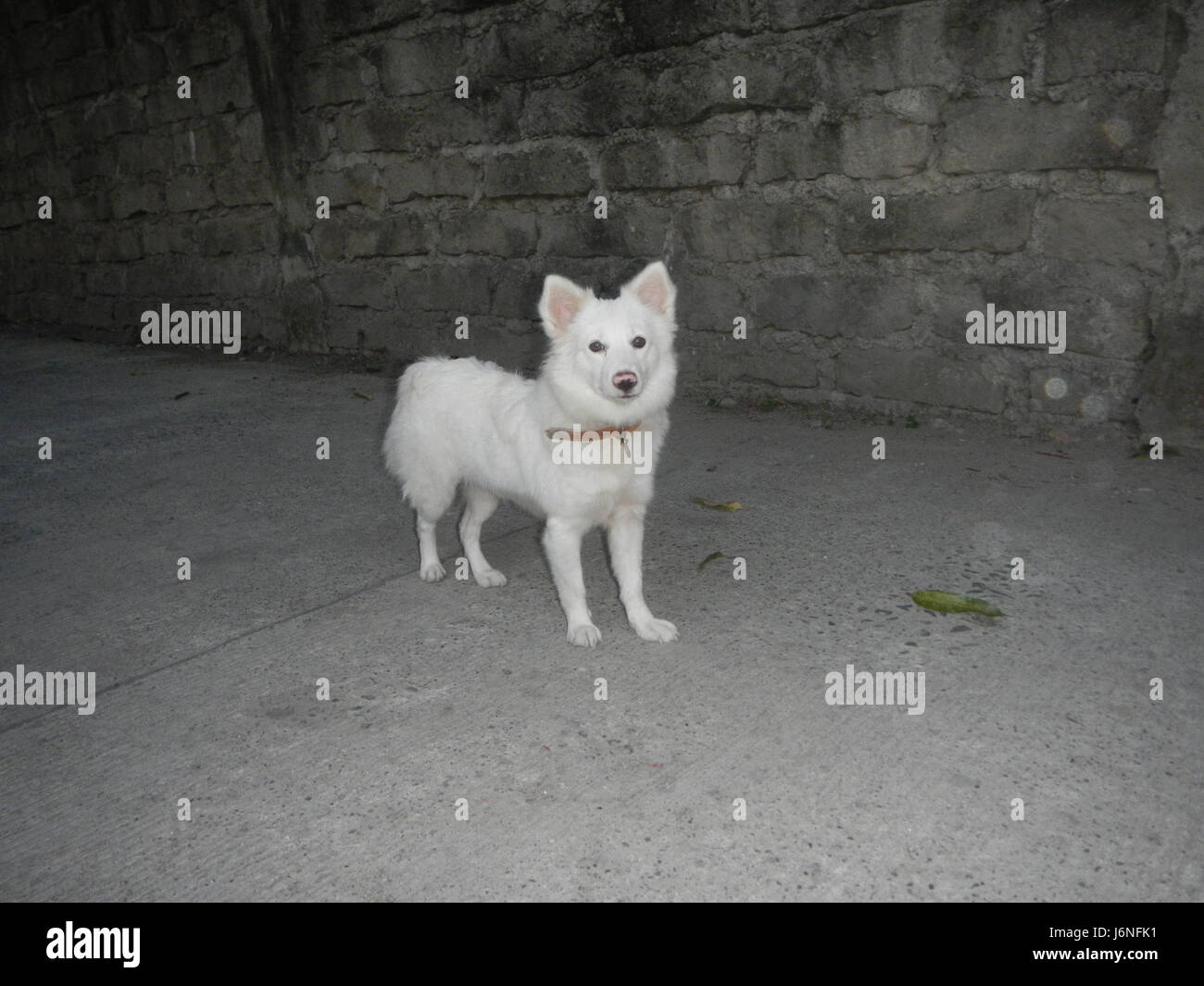 Native philippine culture hi-res stock photography and images - Alamy