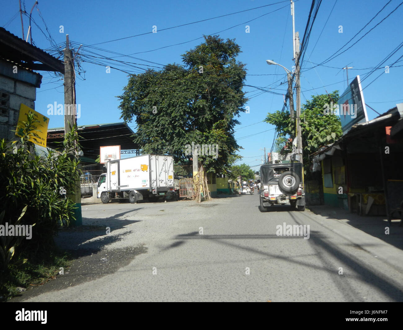 09399 Pritil paddy fields trees grasslands irrigation Roads Guiguinto ...