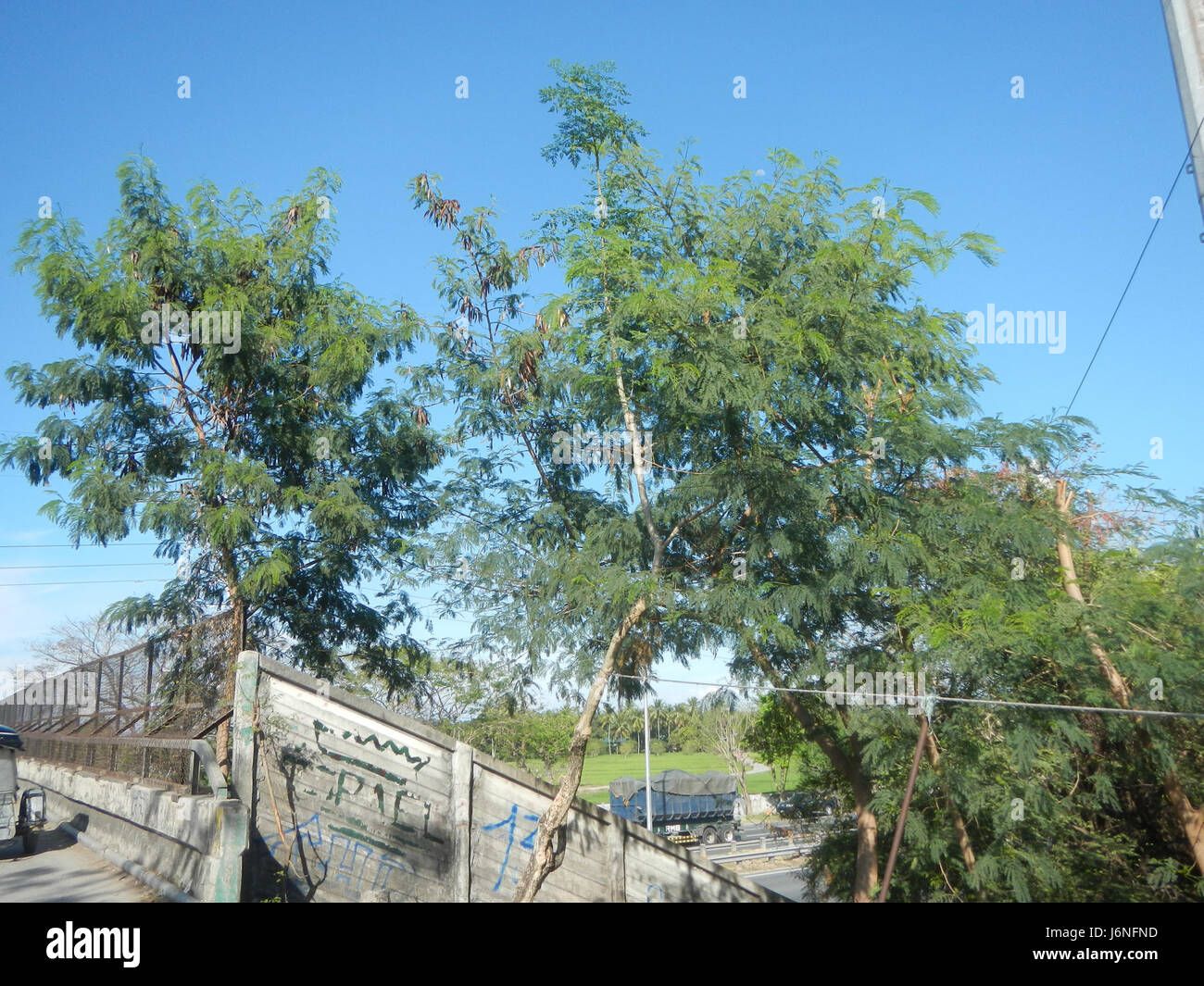 This photograph highlights the Pritil paddy fields in Guiguinto ...