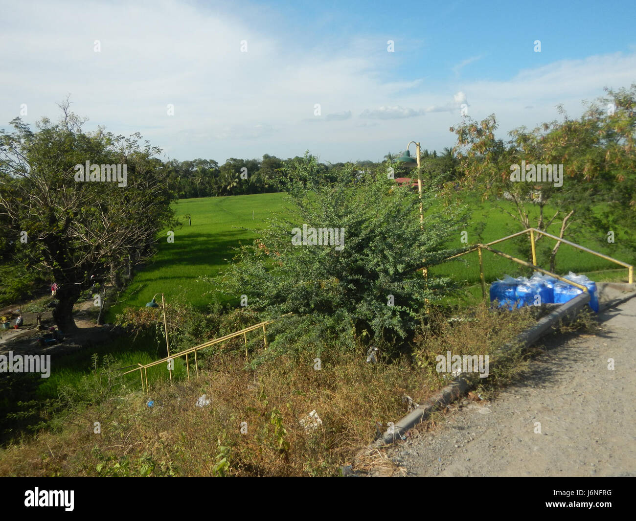 09510 Pritil paddy fields trees grasslands irrigation Roads Guiguinto ...