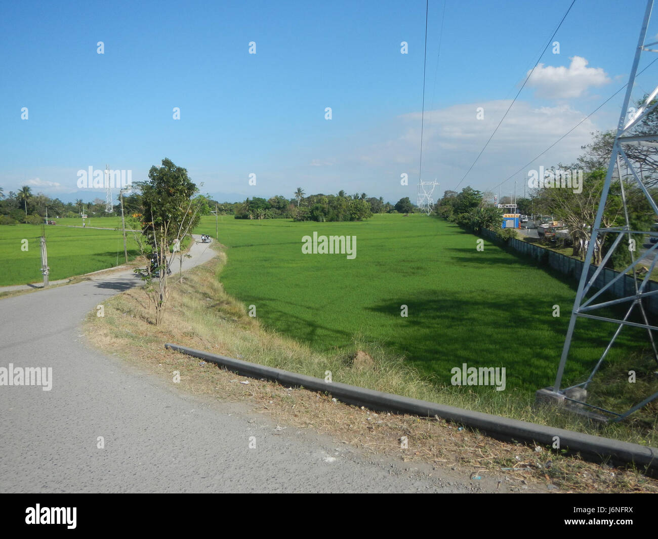 09510 Pritil paddy fields trees grasslands irrigation Roads Guiguinto ...