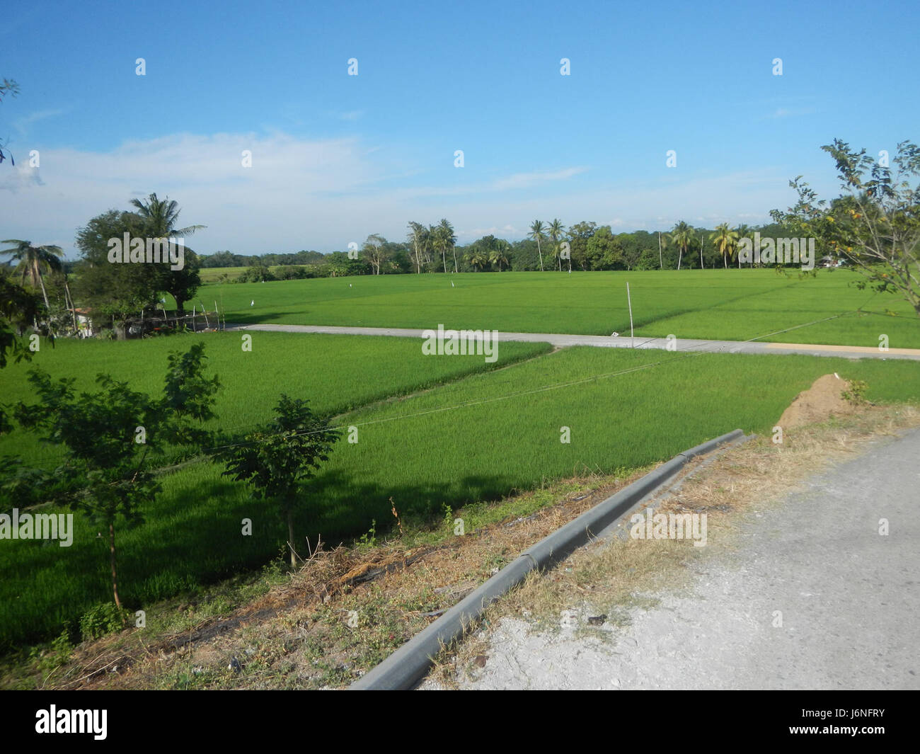 This image shows the agricultural landscape of Pritil, Guiguinto ...