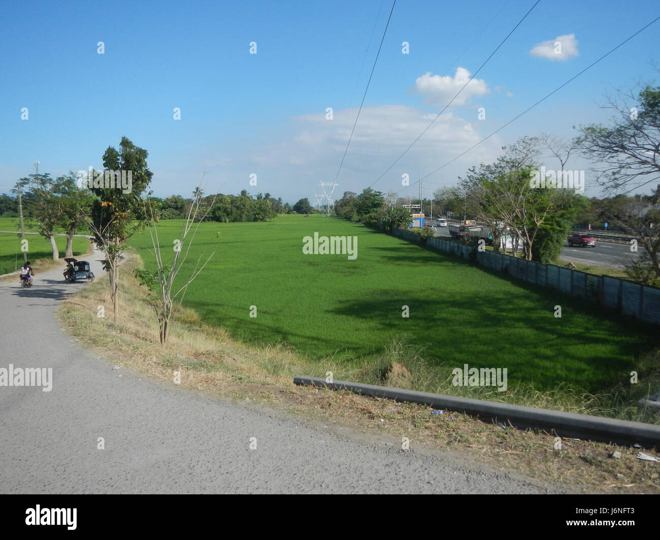09510 Pritil paddy fields trees grasslands irrigation Roads Guiguinto ...