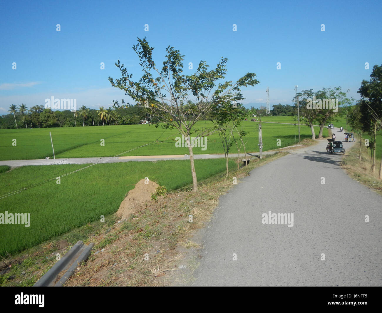 09510 Pritil paddy fields trees grasslands irrigation Roads Guiguinto ...