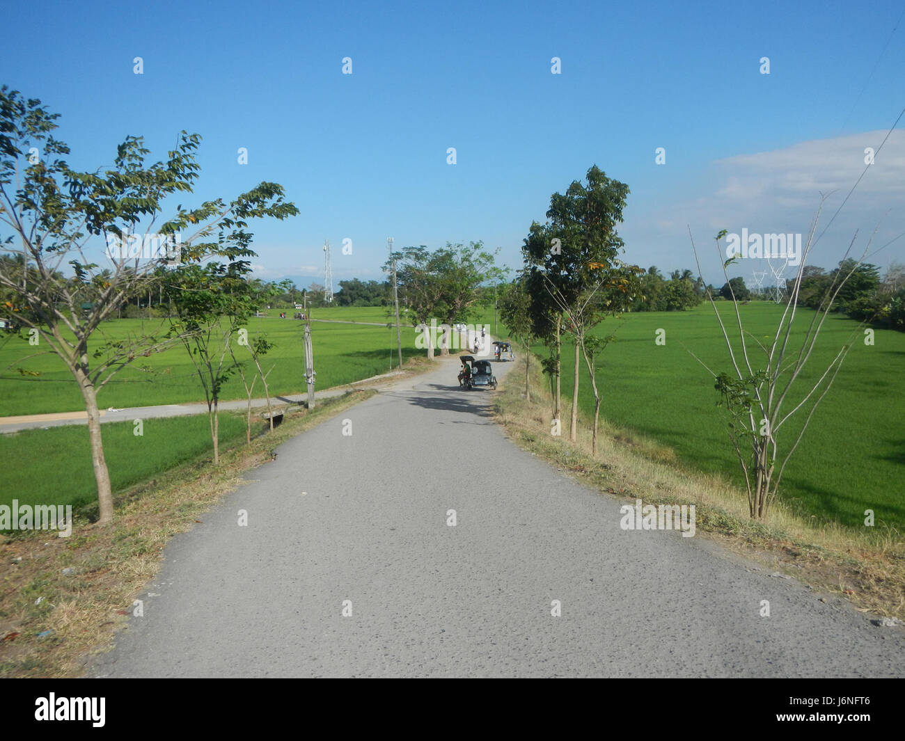 The Pritil paddy fields in Guiguinto, Bulacan, are integral to the ...